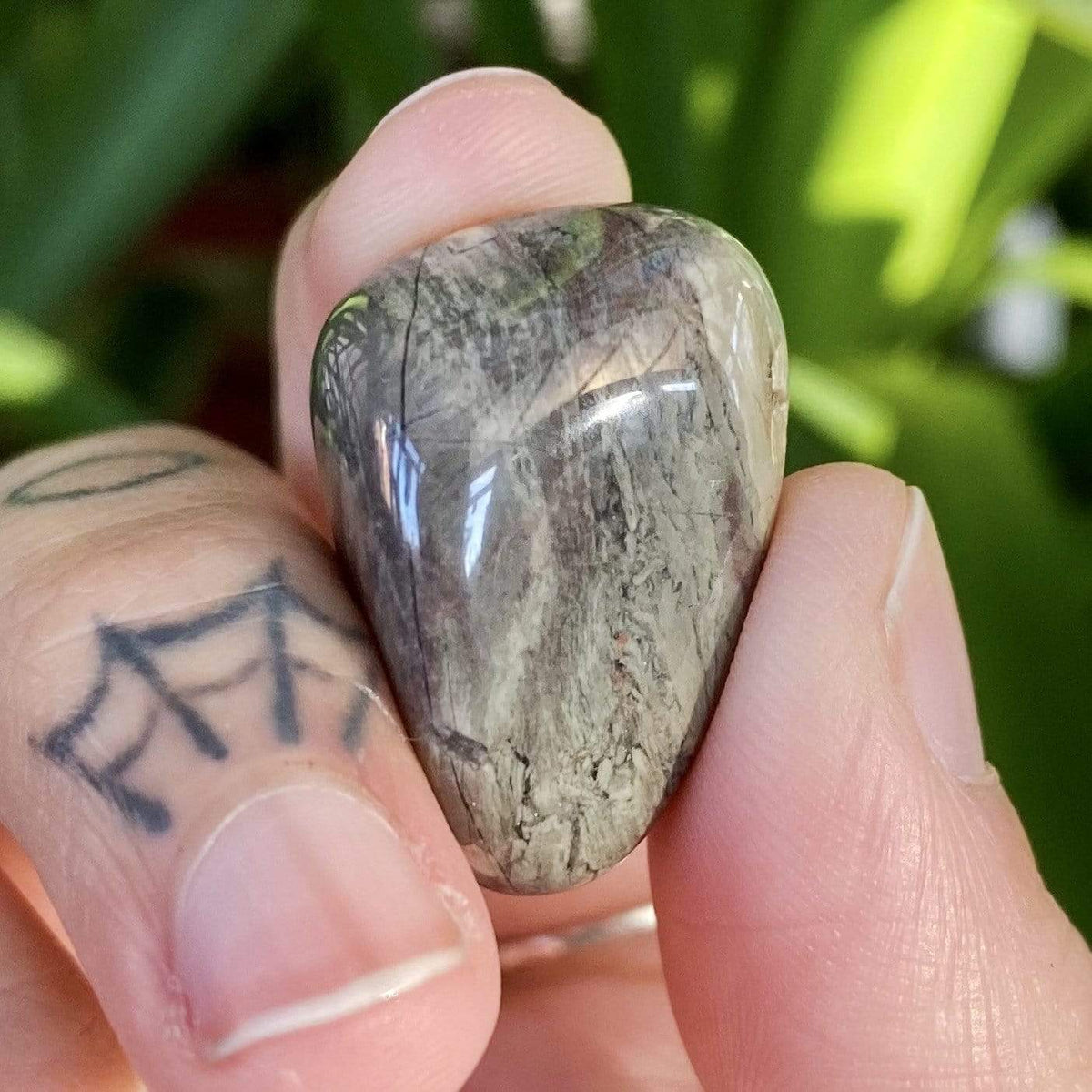 Silver Leaf Jasper Gemstone — Goldenhands